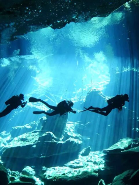 Cave Diving course in Cenotes | APE DIVERS #1